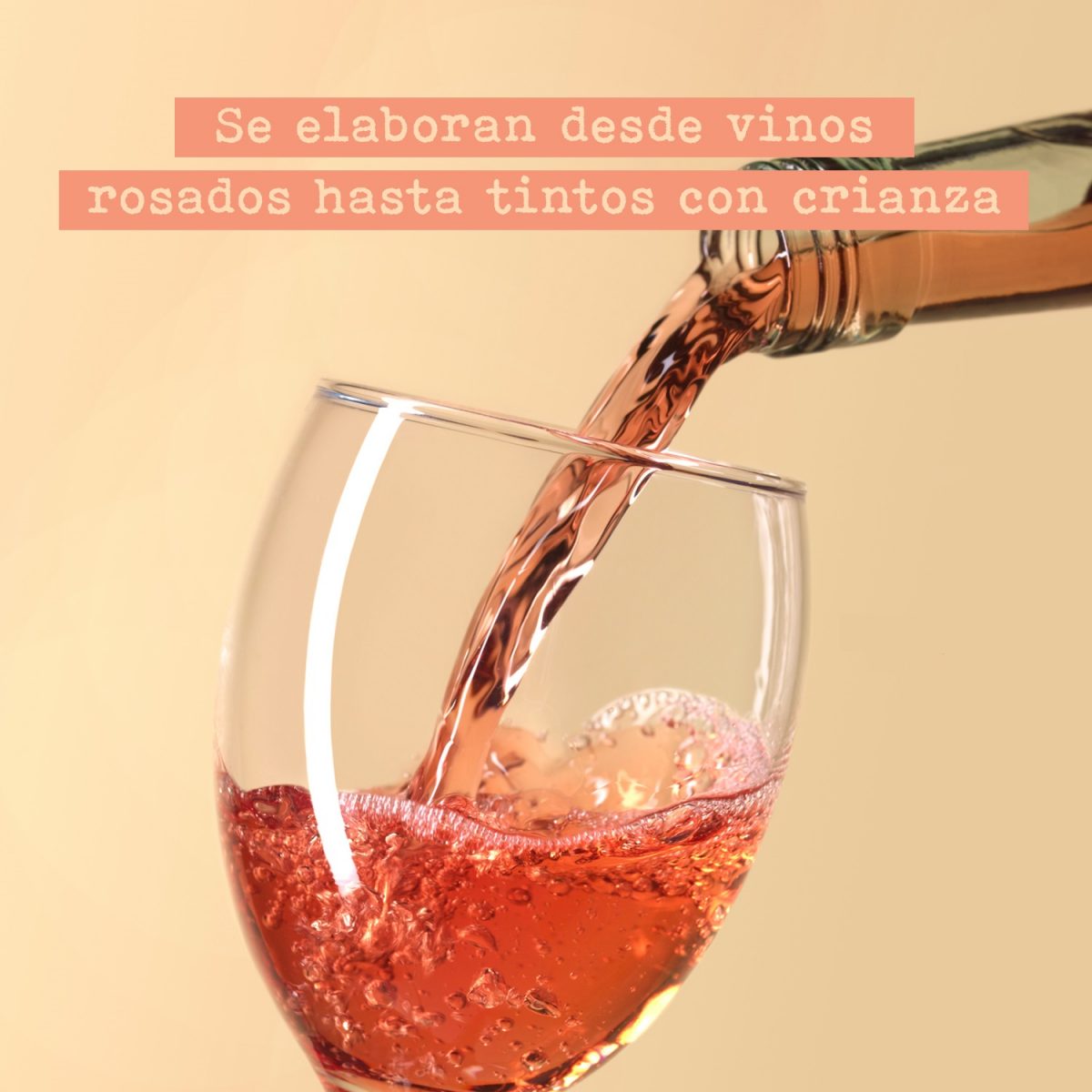 5 Cosas que tienes que saber sobre la BOBAL - V de Vendimia