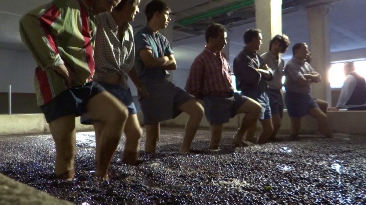 Descubriendo Portugal - V de Vendimia - Wine is Social