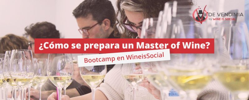 ¿Cómo se prepara un Master of Wine? - V de Vendimia